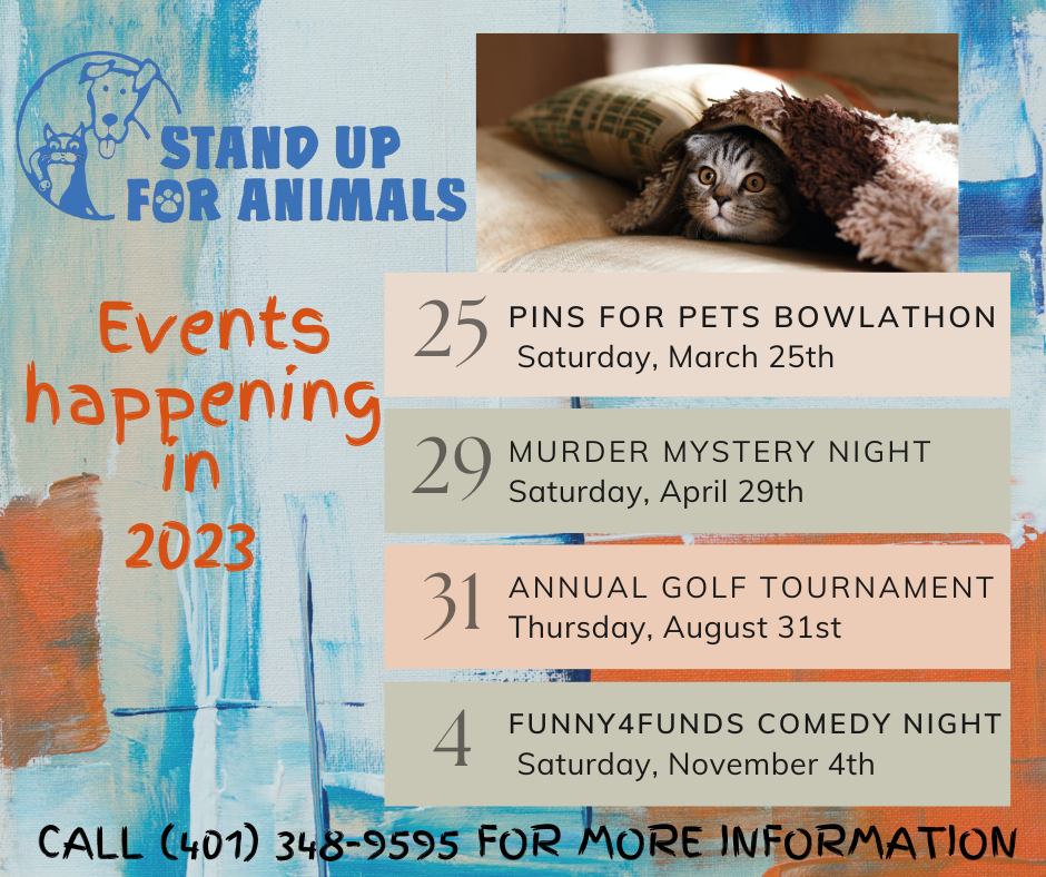 Stand Up For Animals – To promote the health and welfare of abandoned ...